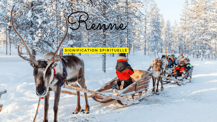 Quelle est la signification spirituelle du renne? – Noël et Moi